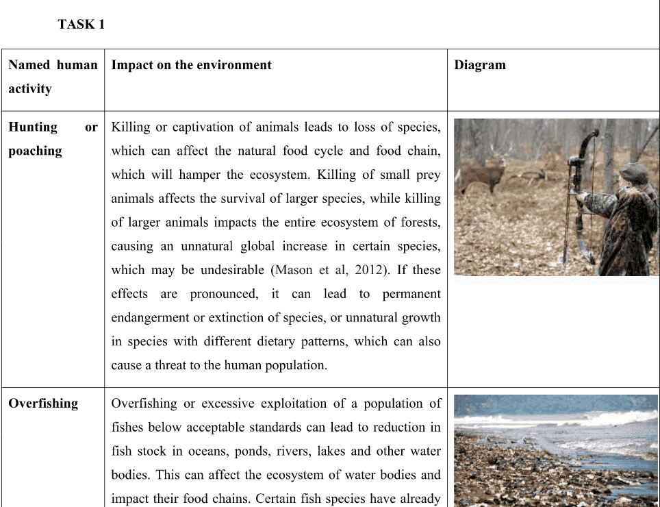 Deforestation, Agriculture for food production - Free Sample